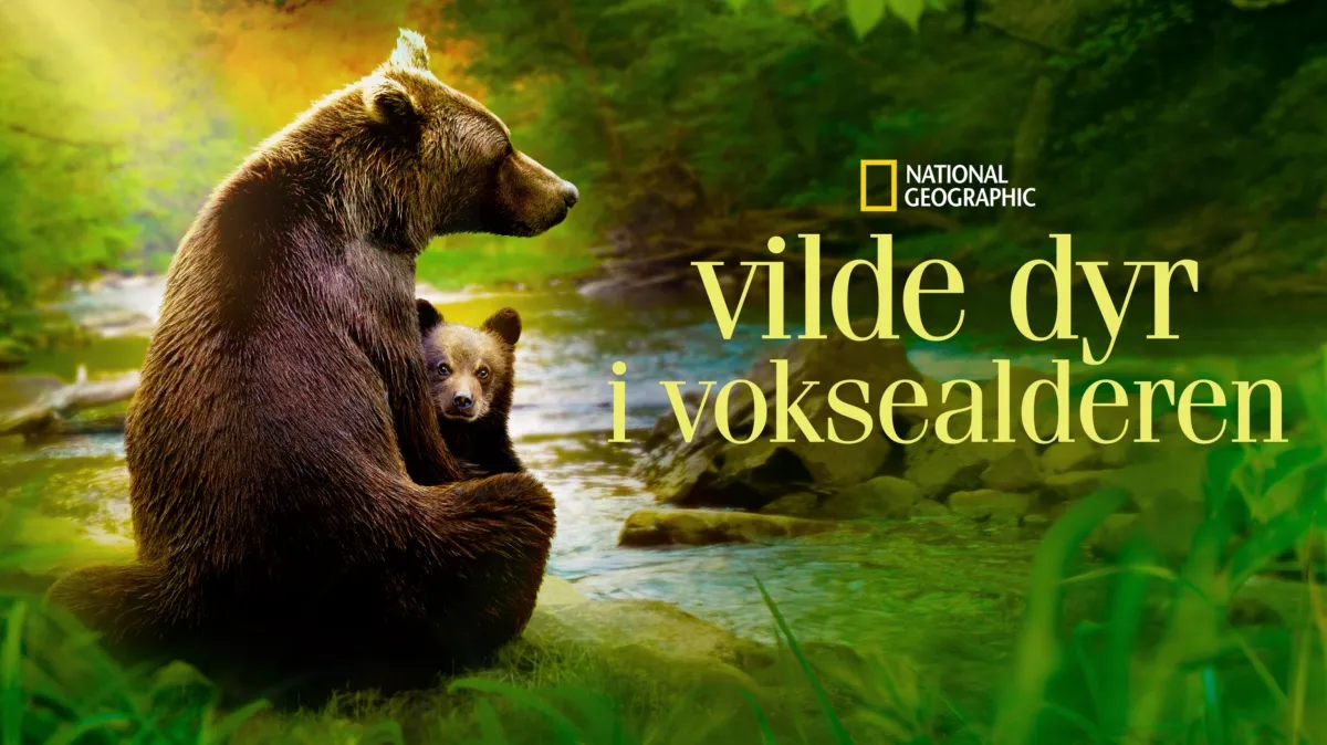 Se hele afsnit af Vilde dyr i voksealderen | Disney+
