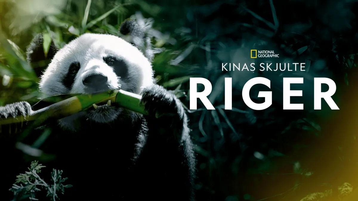 Se Kinas skjulte riger | Disney+