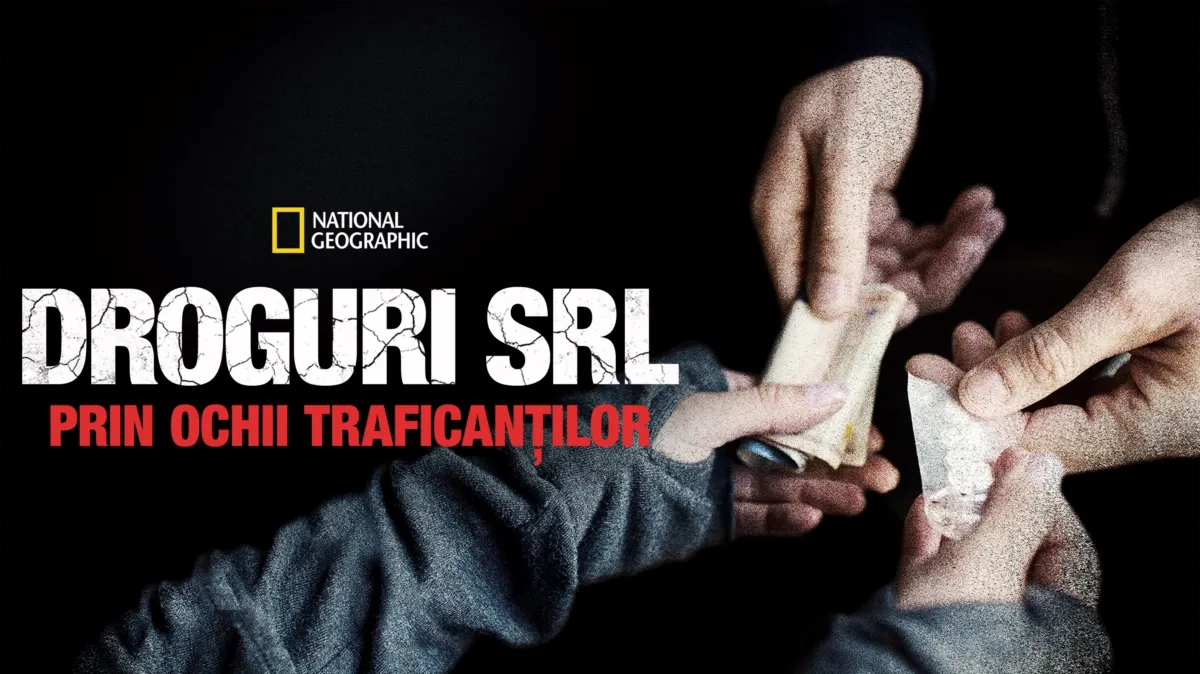 Vizionează Droguri SRL: Prin ochii traficanților | Disney+