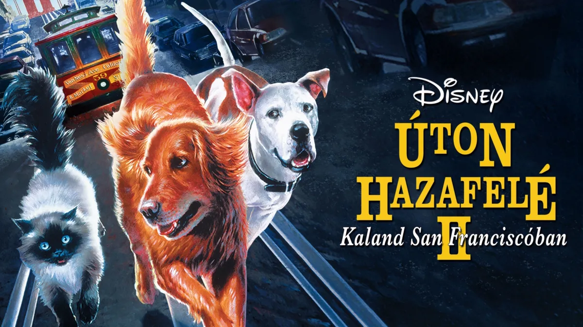 Úton hazafelé 2: Kaland San Franciscóban megtekintése | Disney+