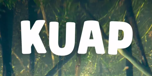 Watch Kuap | Disney+