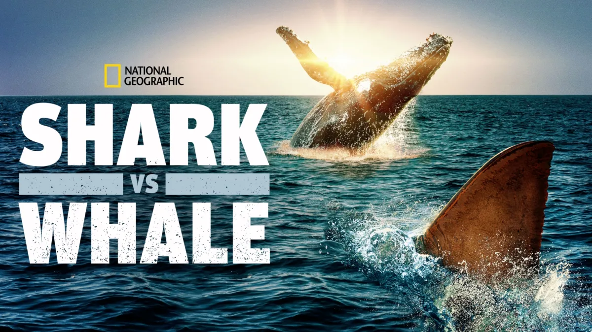 Watch Shark vs. Whale | Disney+