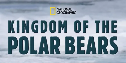 Watch Kingdom of the Polar Bears | Disney+