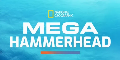 Watch Mega Hammerhead | Disney+