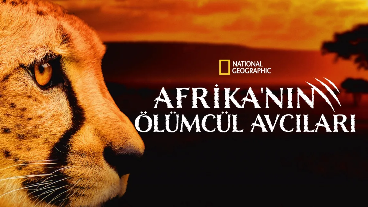 Afrika'nın Ölümcül Avcıları İzleyin | Disney+