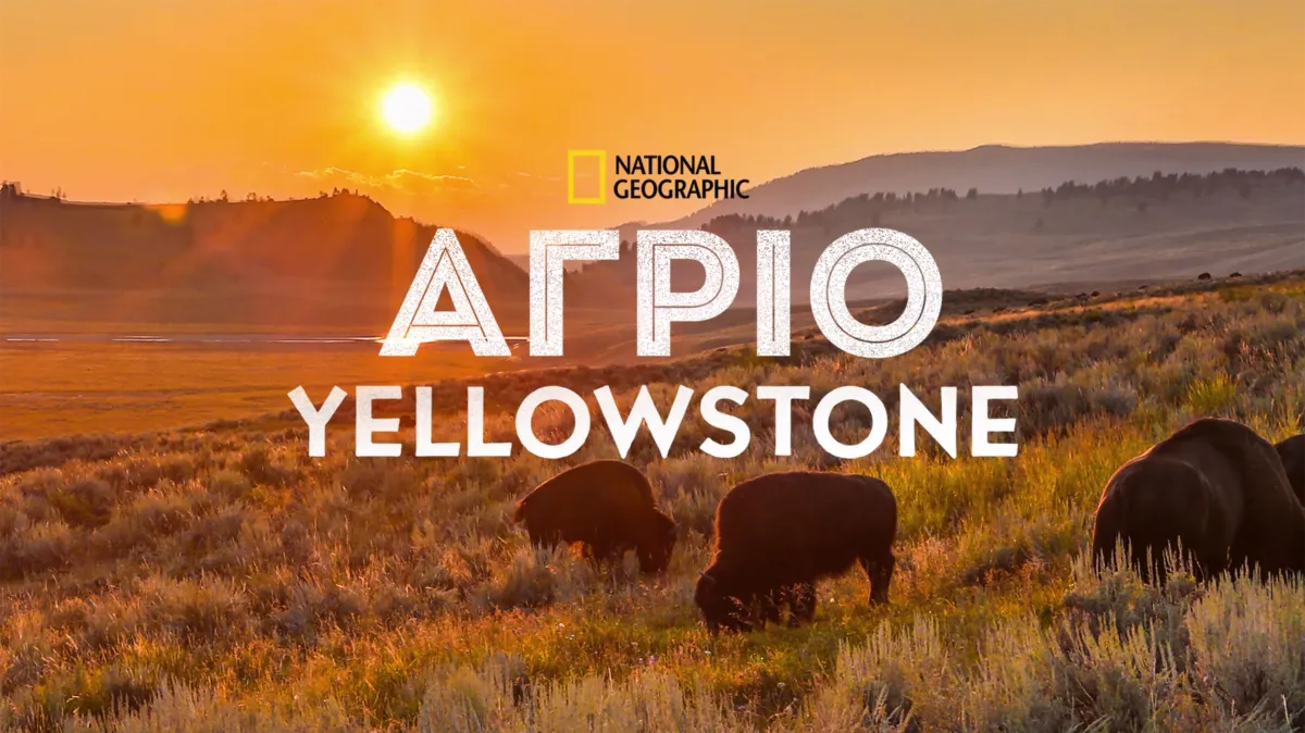 Δείτε το «Άγριο Yellowstone» | Disney+