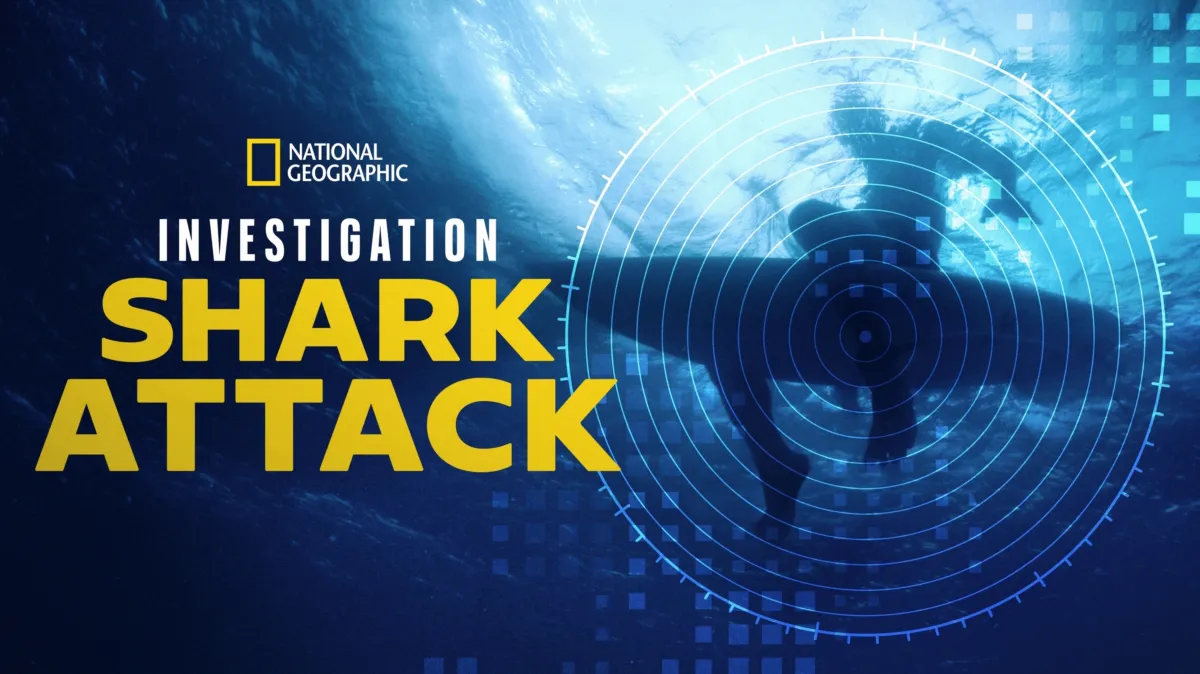 Watch Investigation Shark Attack | Full Episodes | Disney+ Australia