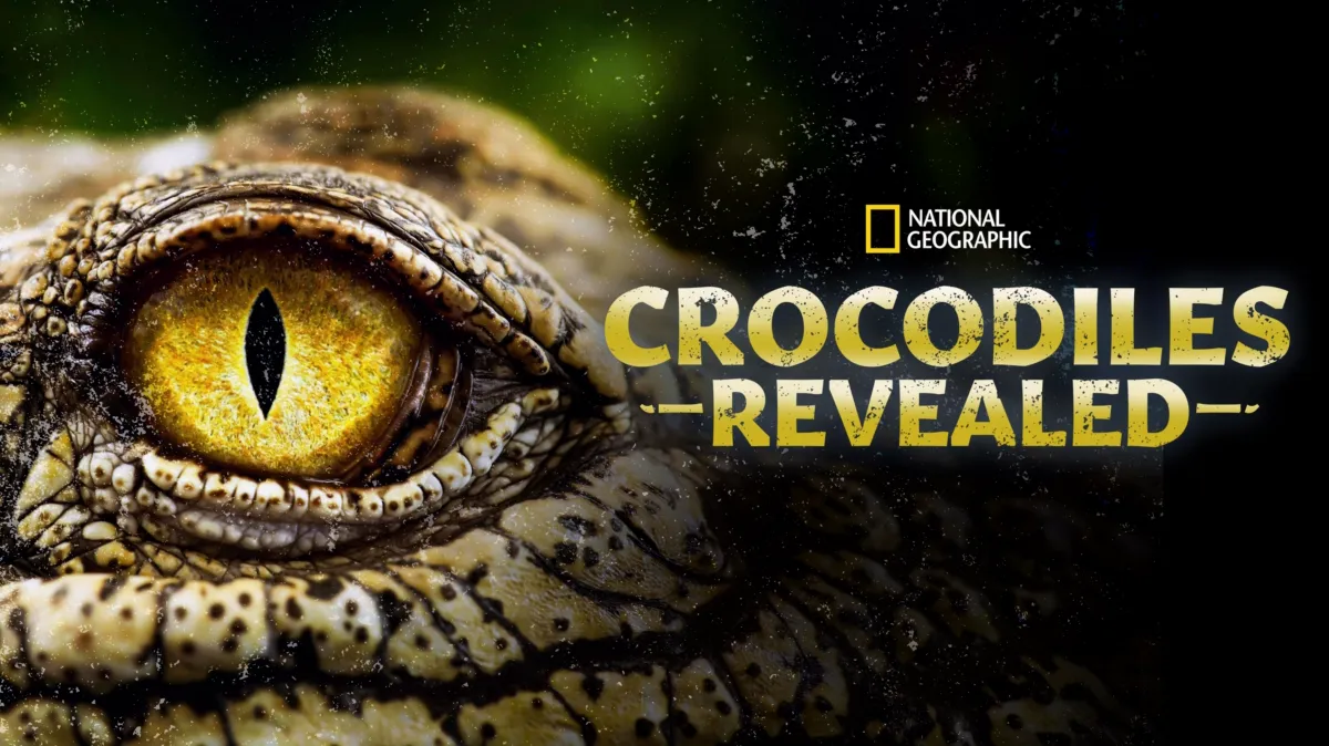 Watch Crocodiles Revealed | Disney+