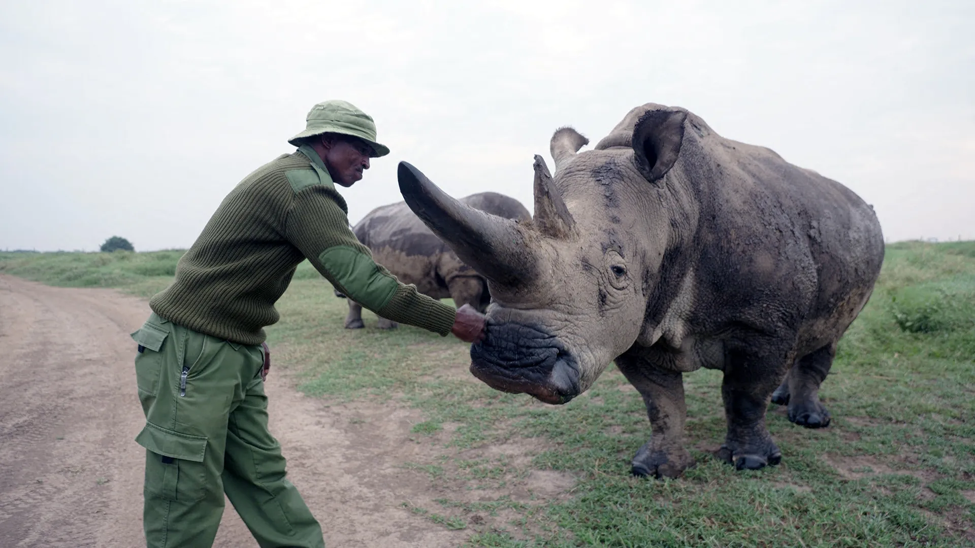 New Movies & Shows Coming to Disney+ & Hulu in August 2025