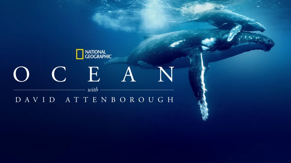 Watch Ocean with David Attenborough | Disney+