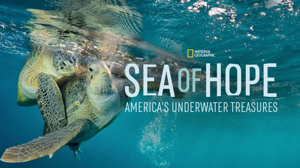 Watch Sea of Hope: America's Underwater Treasures | Disney+