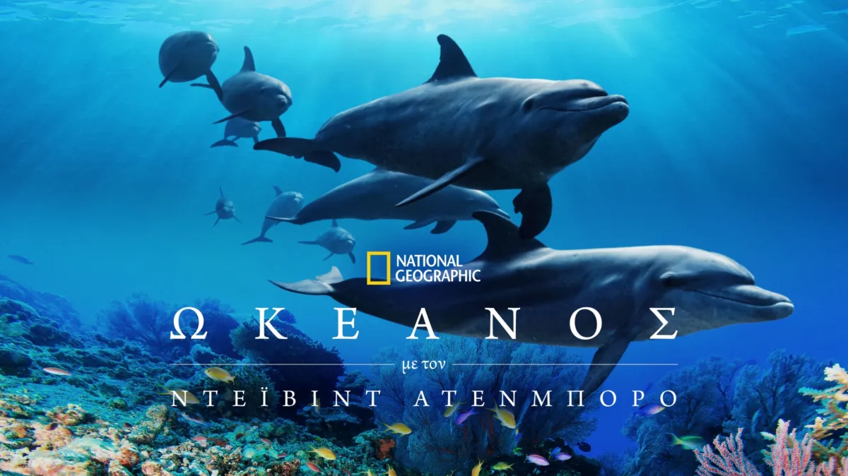 Δείτε το «Ωκεανός με τον Ντέιβιντ Ατένμπορα» | Disney+