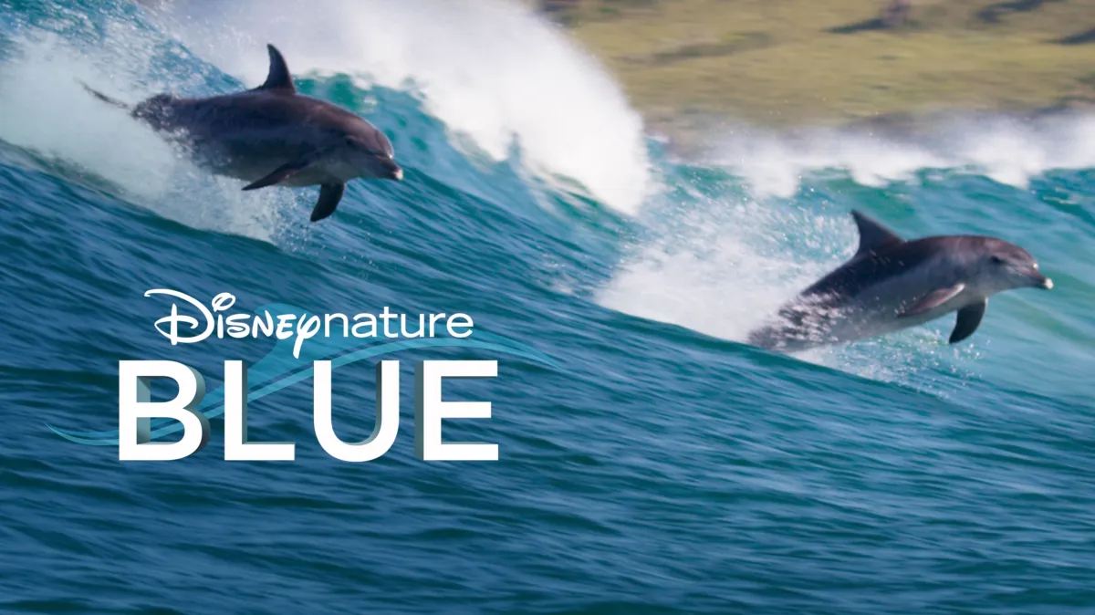 Regardez Disneynature : Blue | Disney+