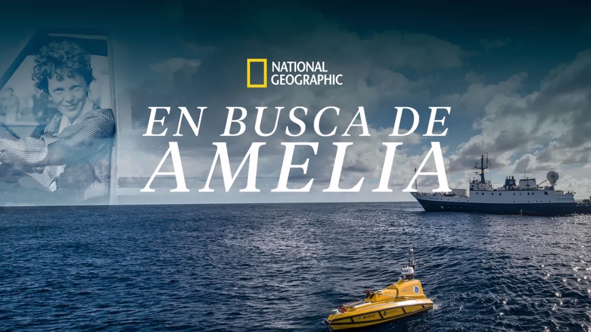 Ver En Busca de Amelia | Disney+