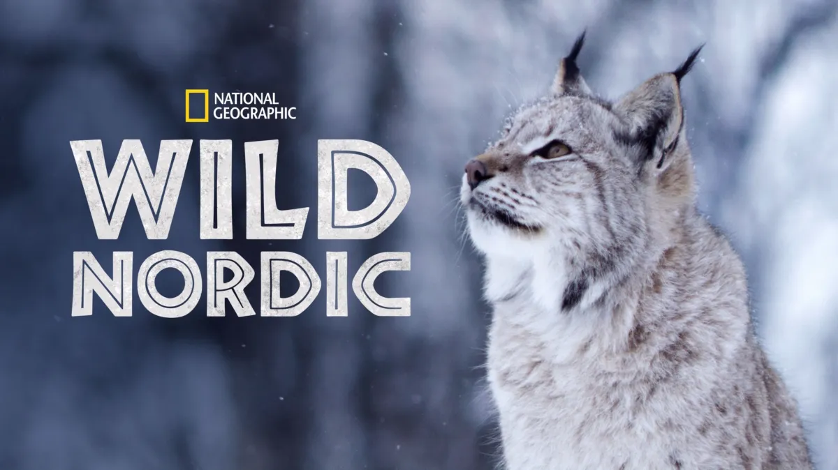 Watch Wild Nordic | Disney+