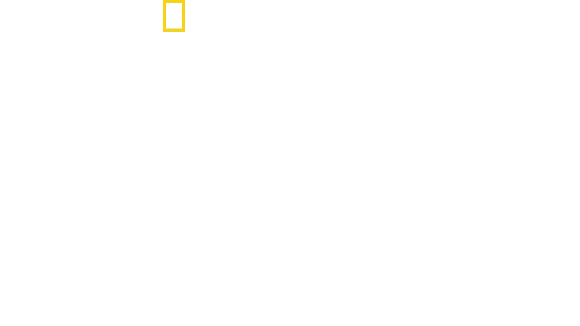 Watch Inside North Korea: Then And Now With Lisa Ling | Full episodes ...
