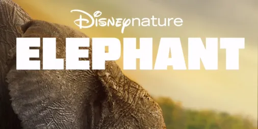 Watch Elephant | Full episodes | Disney+