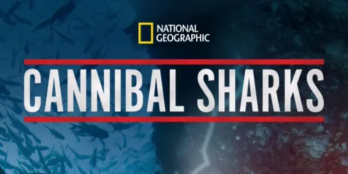 Watch Cannibal Sharks | Disney+