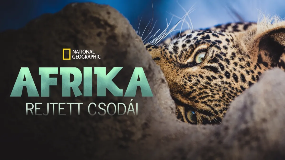 Afrika rejtett csodái megtekintése | Disney+