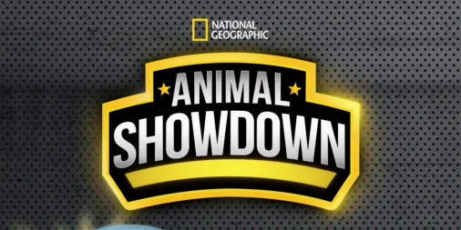 Watch Animal Showdown | Full episodes | Disney+
