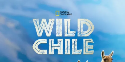 Watch Wild Chile | Full Episodes | Disney+