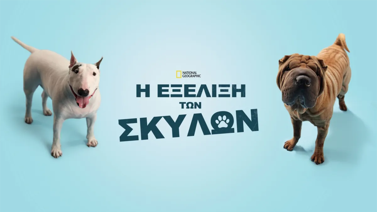 Δείτε το «Η Εξέλιξη των Σκύλων» | Disney+