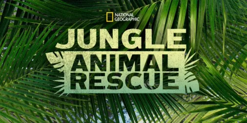 Watch Jungle Animal Rescue | Full Episodes | Disney+