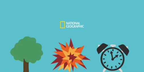 Watch Nature Boom Time | Full Episodes | Disney+