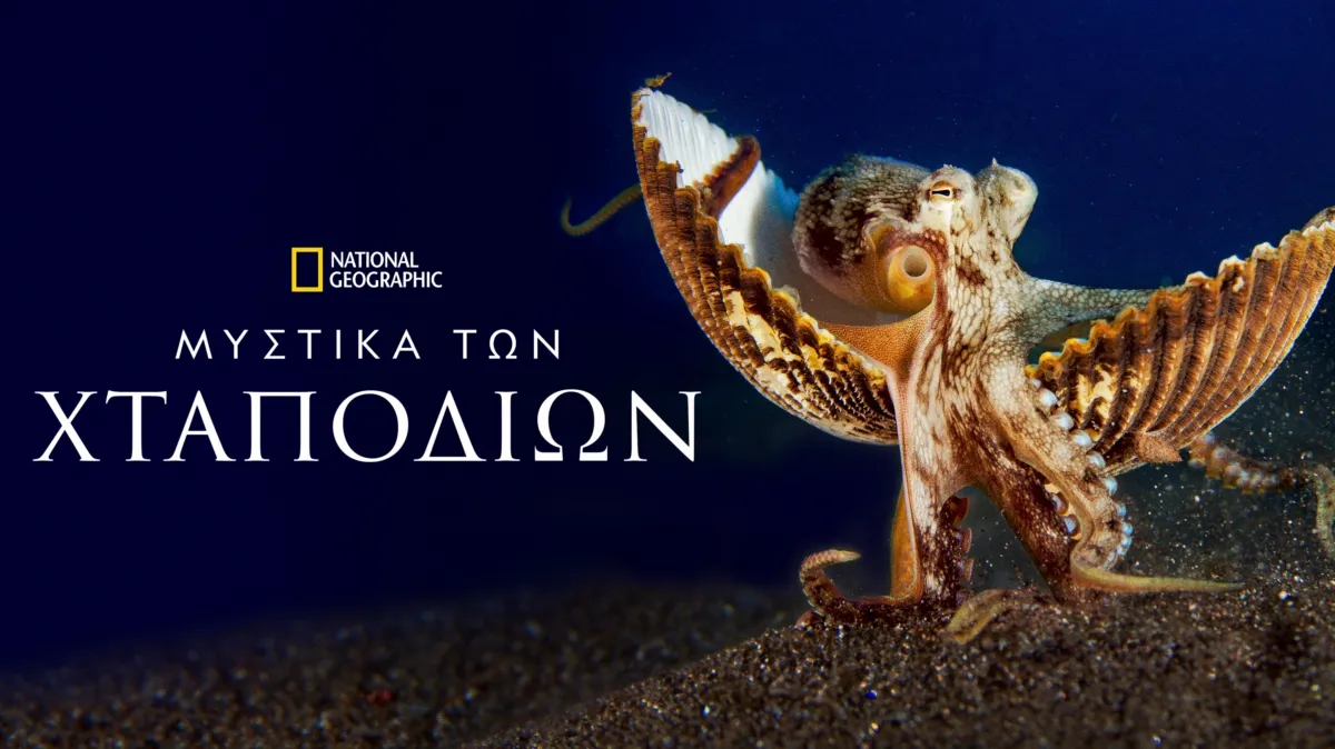 Δείτε το «Μυστικά των Χταποδιών» | Disney+