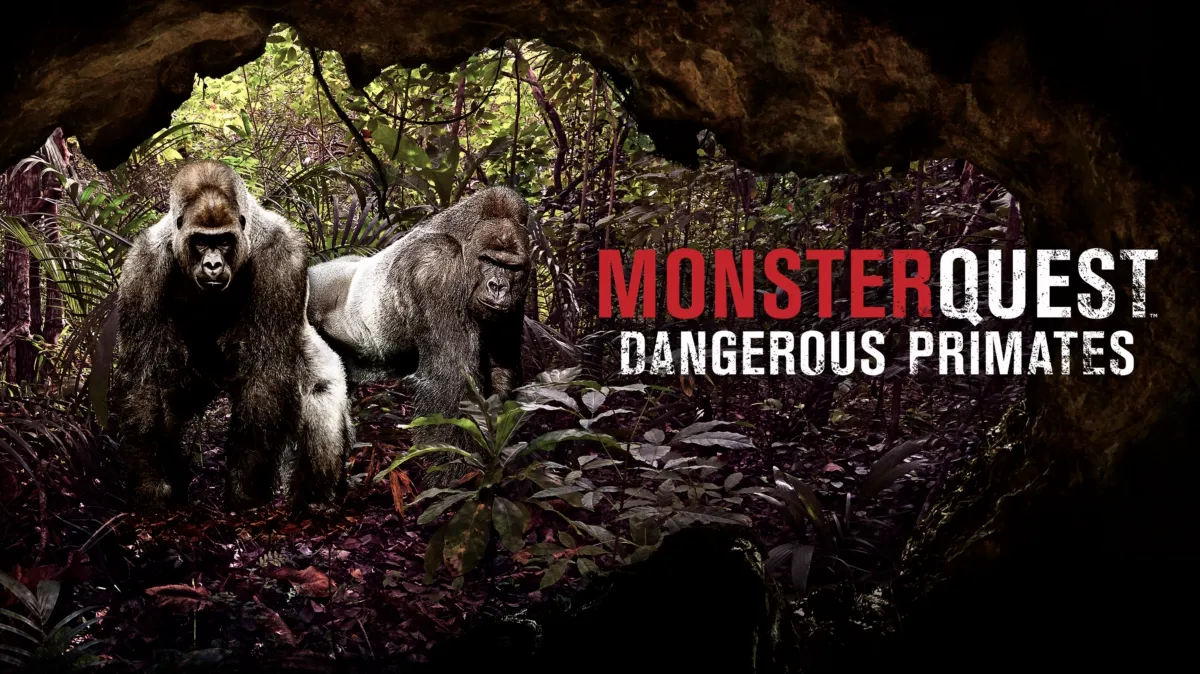 Watch MonsterQuest: Dangerous Primates | Disney+