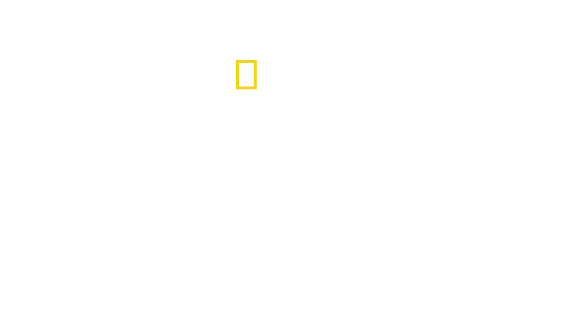 Regarder Le tombeau du premier Empereur de Chine | Épisodes complets | Disney+