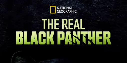 Watch The Real Black Panther | Disney+