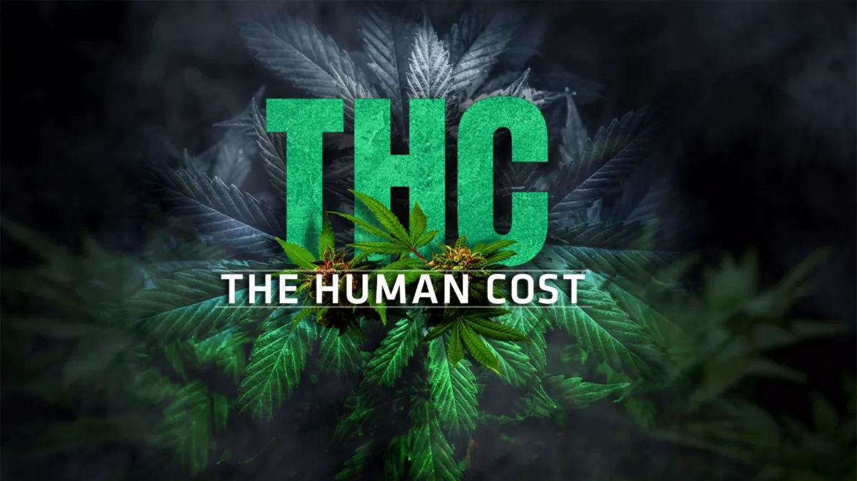 Watch THC: The Human Cost | Full Episodes | Disney+