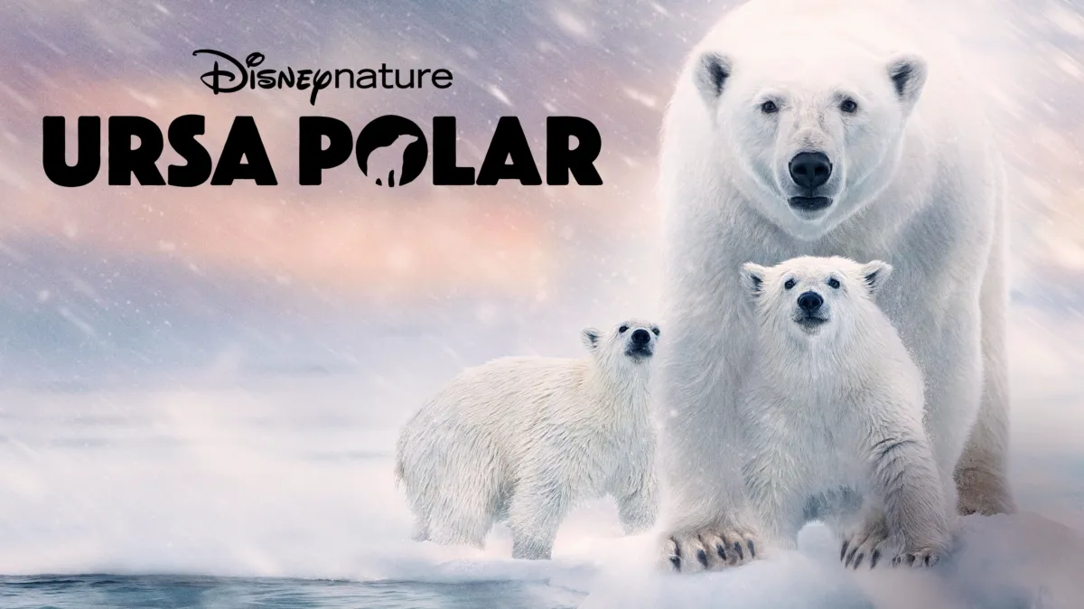Ver Ursa Polar | Disney+