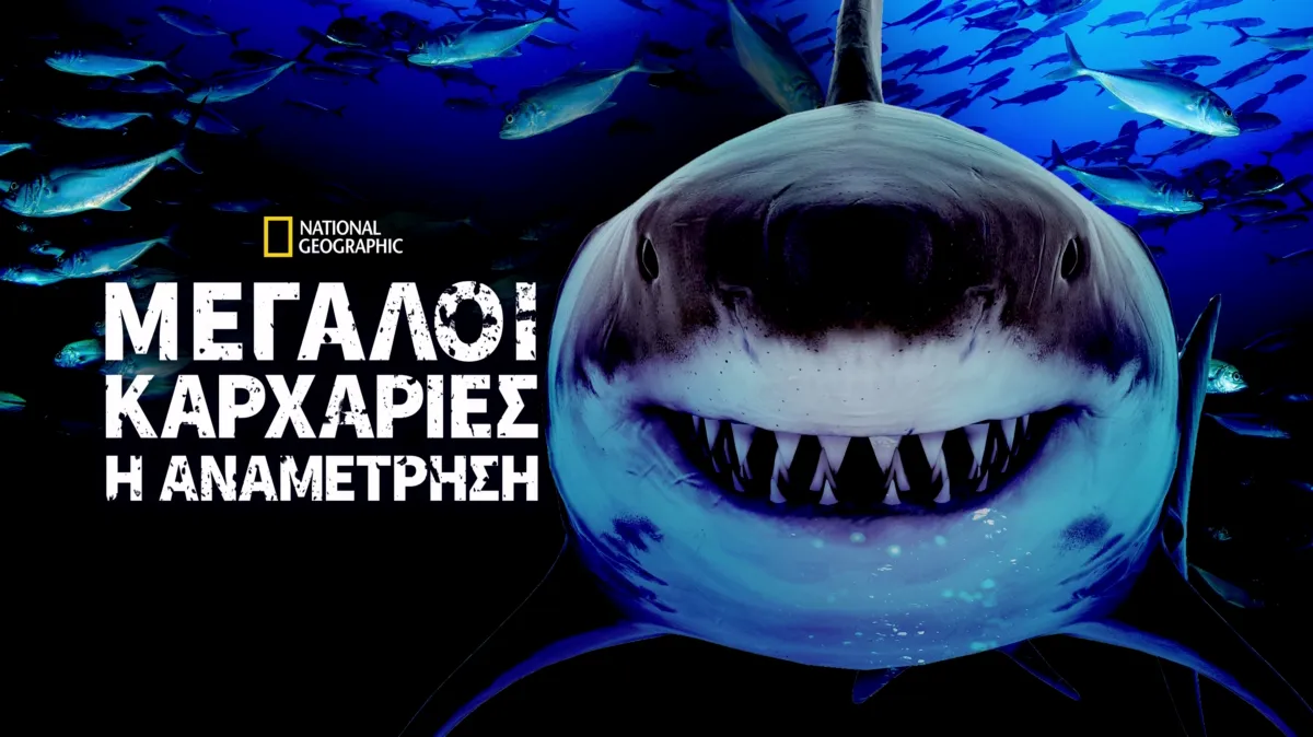 Δείτε το «Μεγάλοι Καρχαρίες: Η Αναμέτρηση» | Disney+