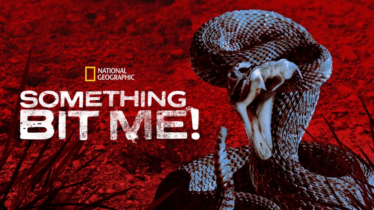 Watch Something Bit Me! | Disney+