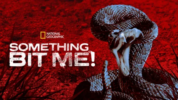 Watch Snake City | Full episodes | Disney+