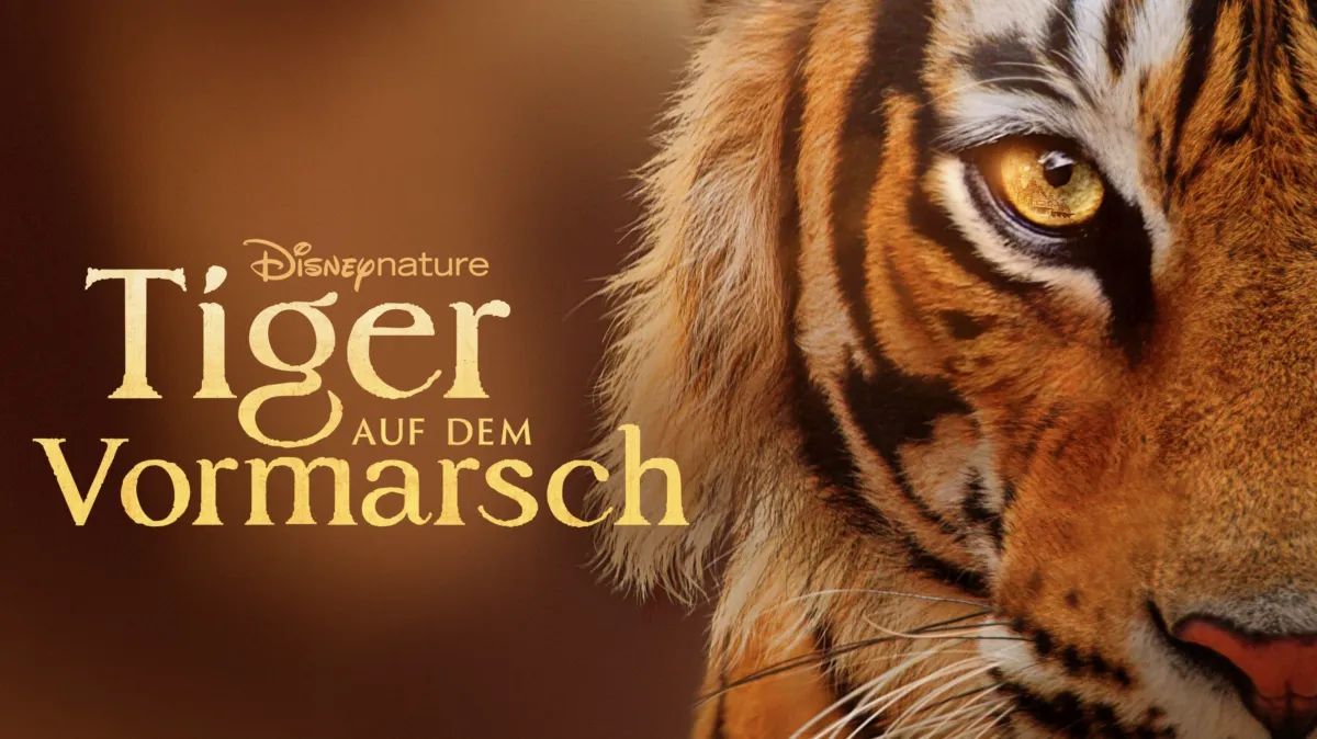 Tiger auf dem Vormarsch ansehen | Disney+