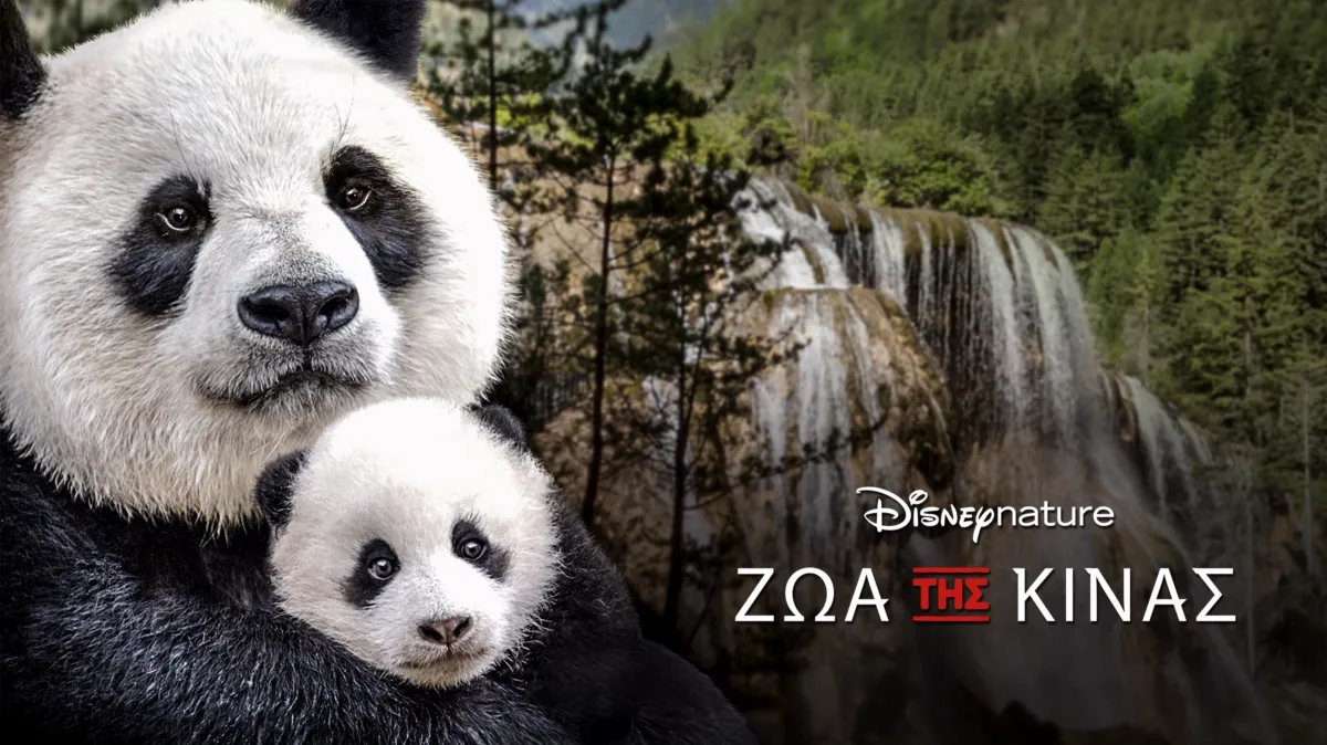 Δείτε το «Ζώα της Κίνας» | Disney+