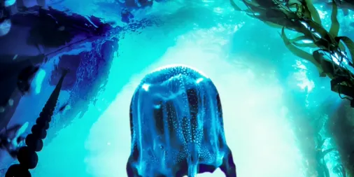 Watch MonsterQuest: Deadly Jellyfish | Disney+