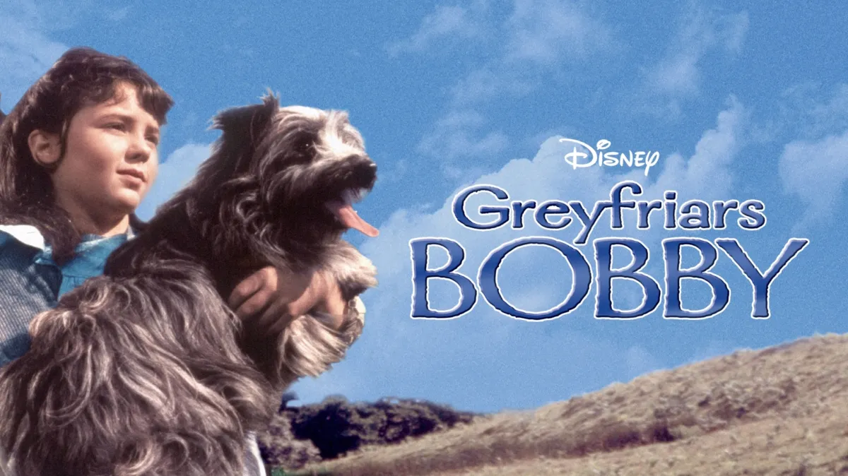 Watch Greyfriars Bobby | Disney+