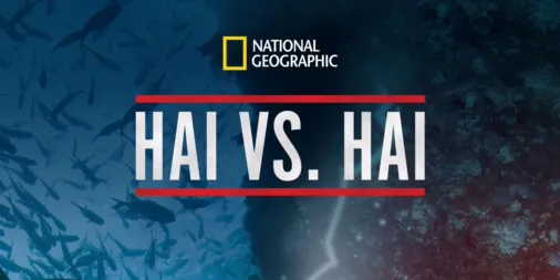 Ganze Folgen von Hai vs Hai ansehen | Disney+