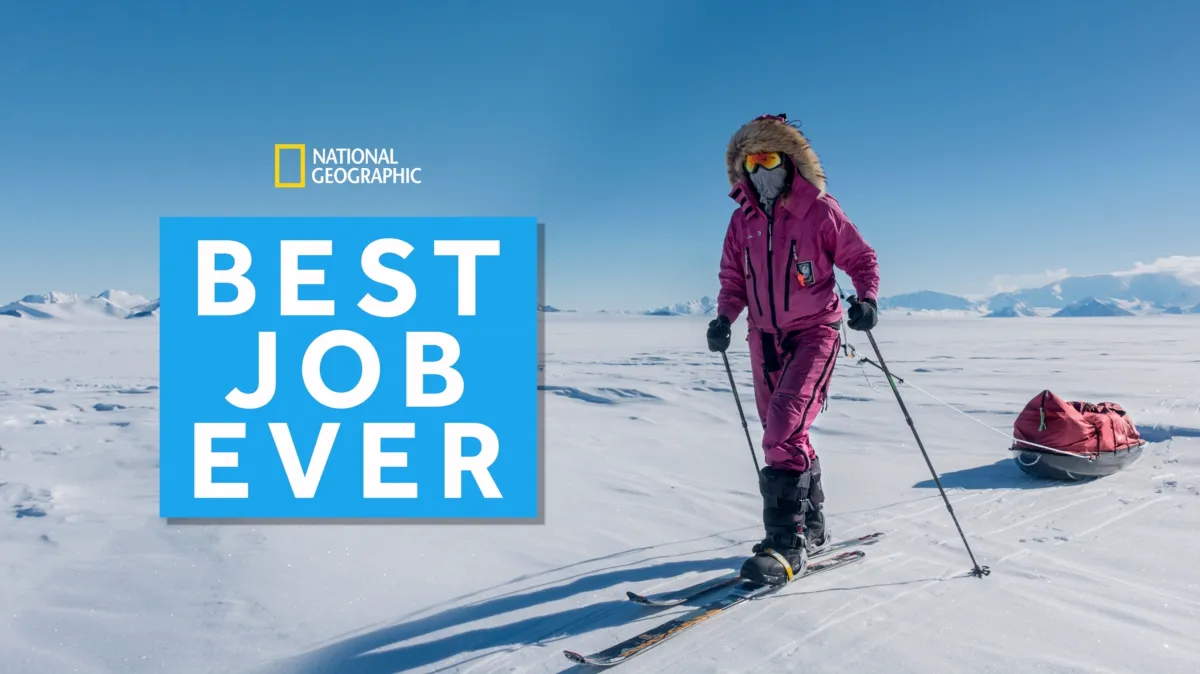 Best Job Ever | Watch Full Episodes | Disney+