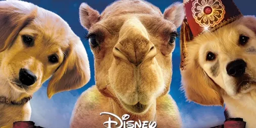 Regardez Les Tobby Chasseurs de trésor | Disney+