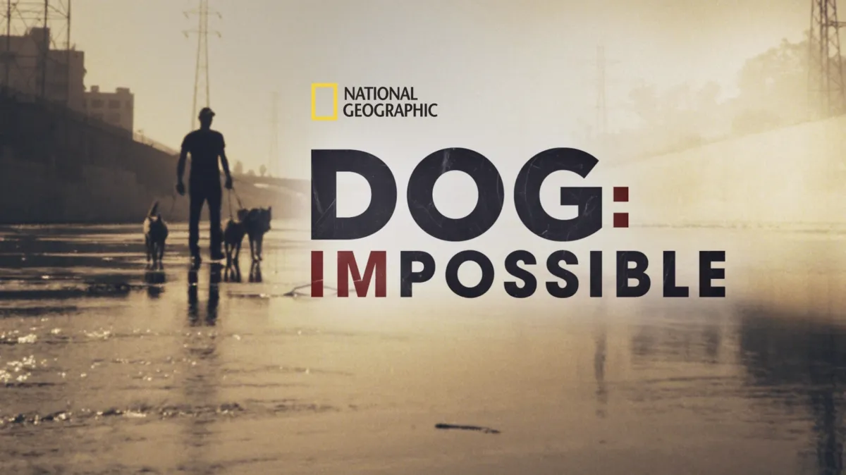 Watch Dog: Impossible | Full episodes | Disney+