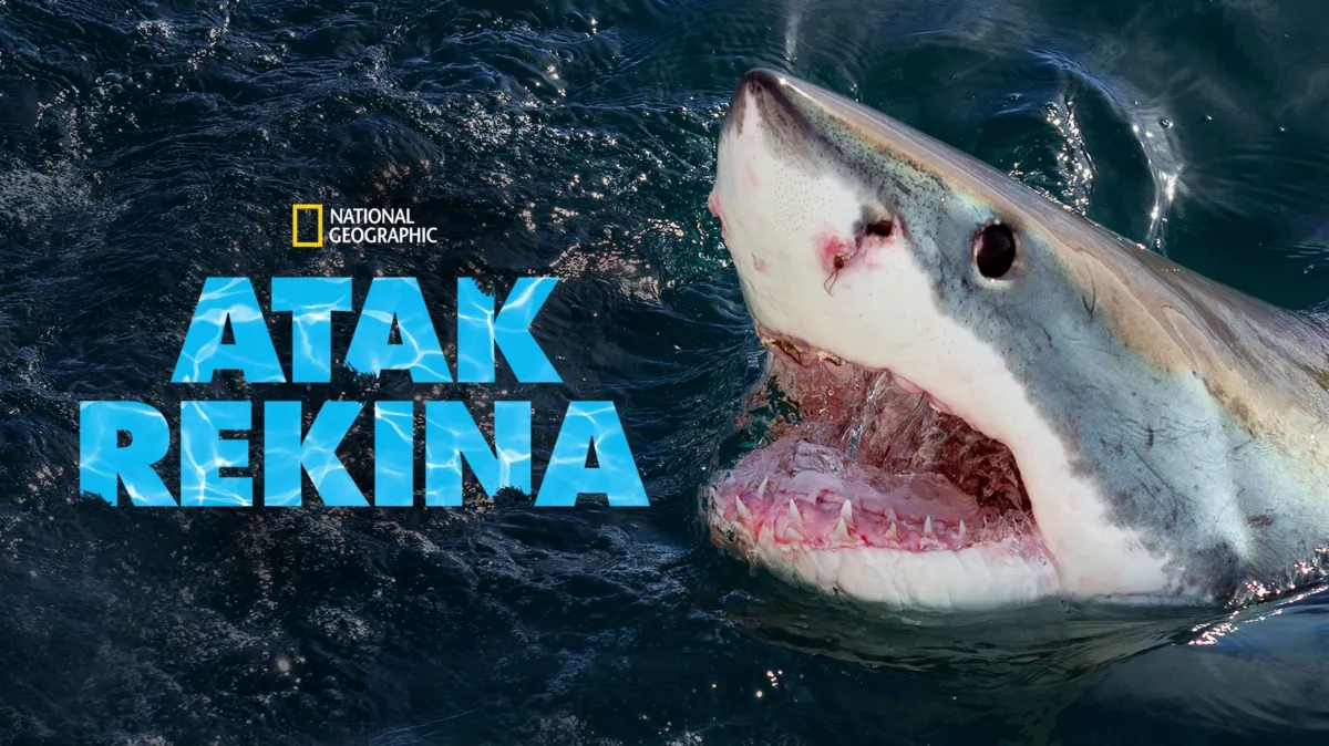 Oglądaj Atak rekina | Disney+