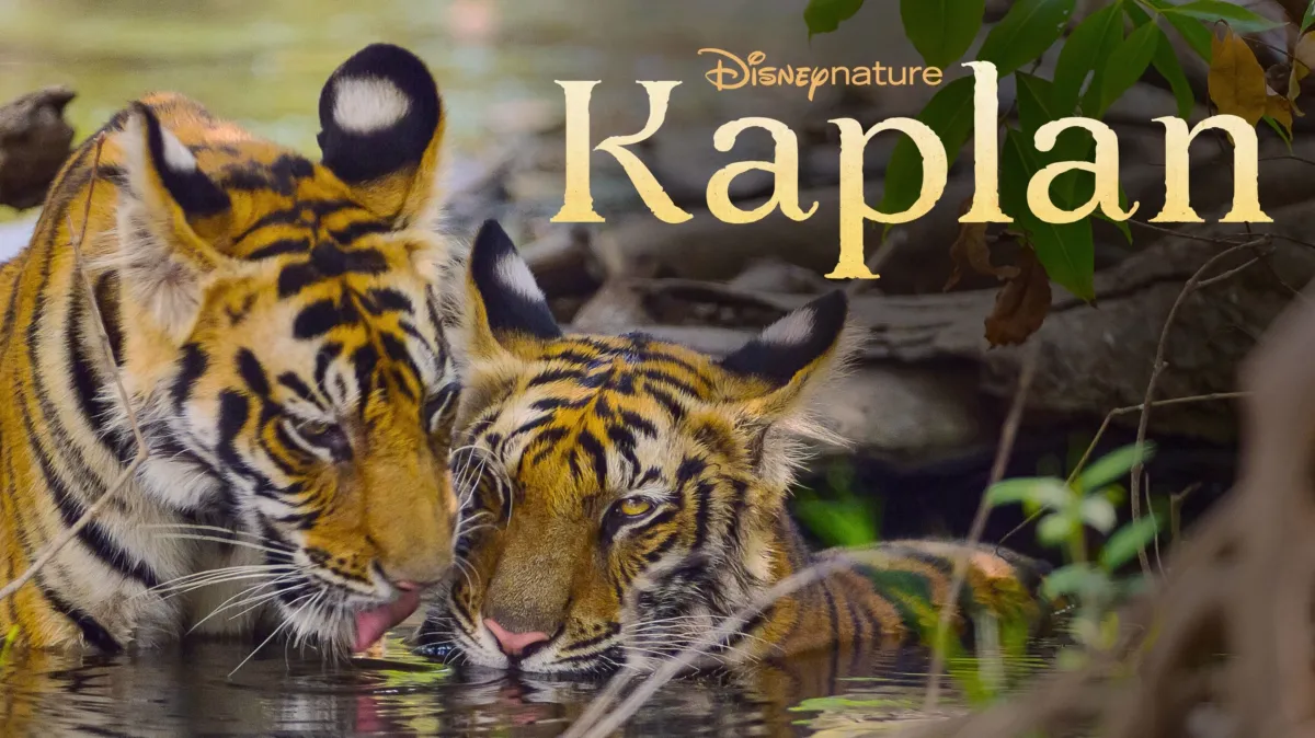 Kaplan İzleyin | Disney+