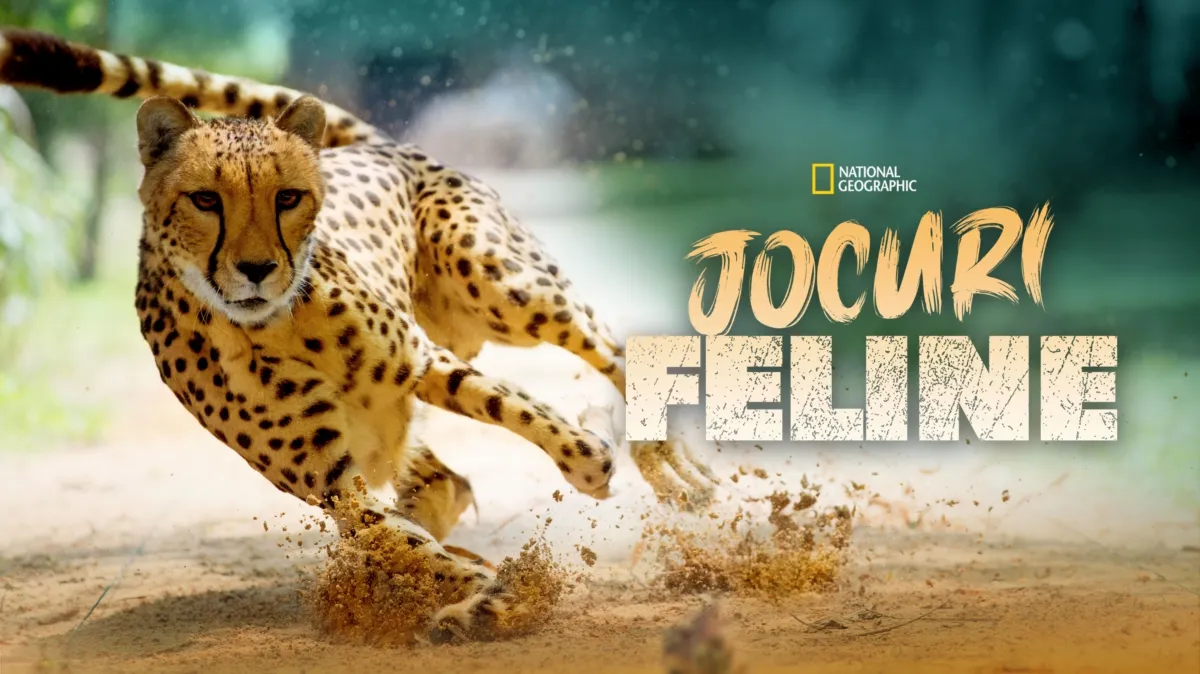 Vizionează Jocuri feline | Disney+