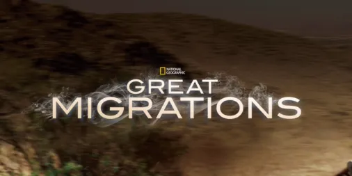 Watch Great Migrations | Full episodes | Disney+