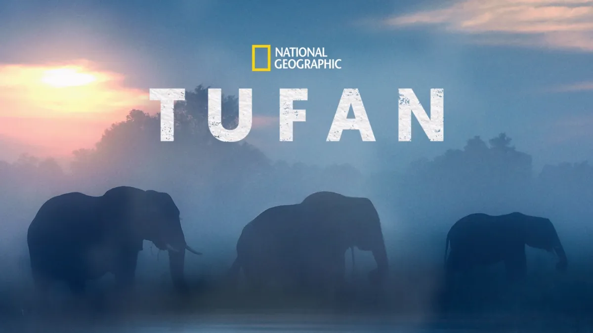 Tufan İzleyin | Disney+